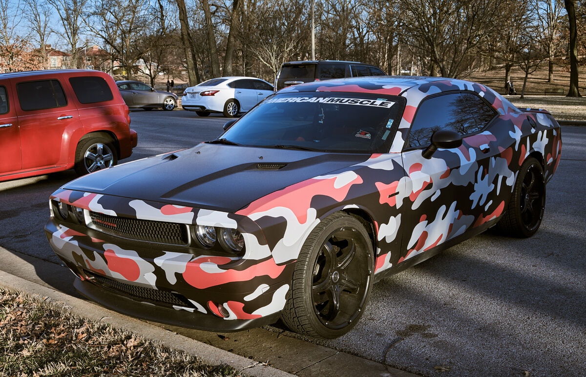 Camo Car: Nice warm day and everybody showed up at the park. Including ...