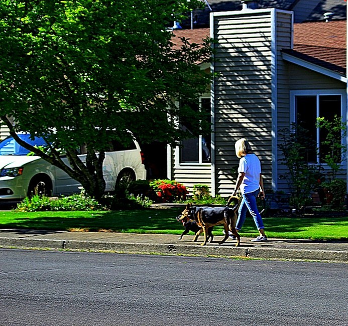 A Good Friend and Neighbor Walking Her Two Dogs: Lens: Sigma 70-300mm ...