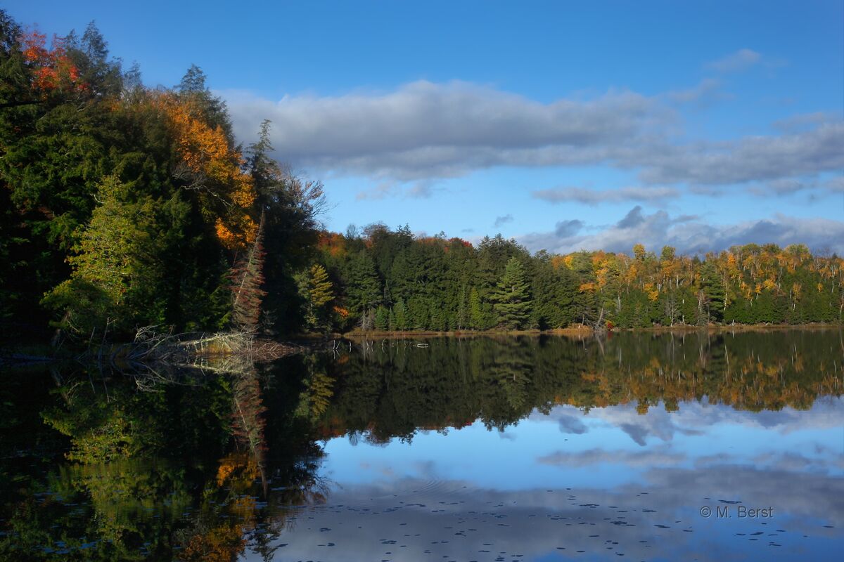 Sylvania Wilderness: A lake in the Sylvania Wilderness in Michigan.