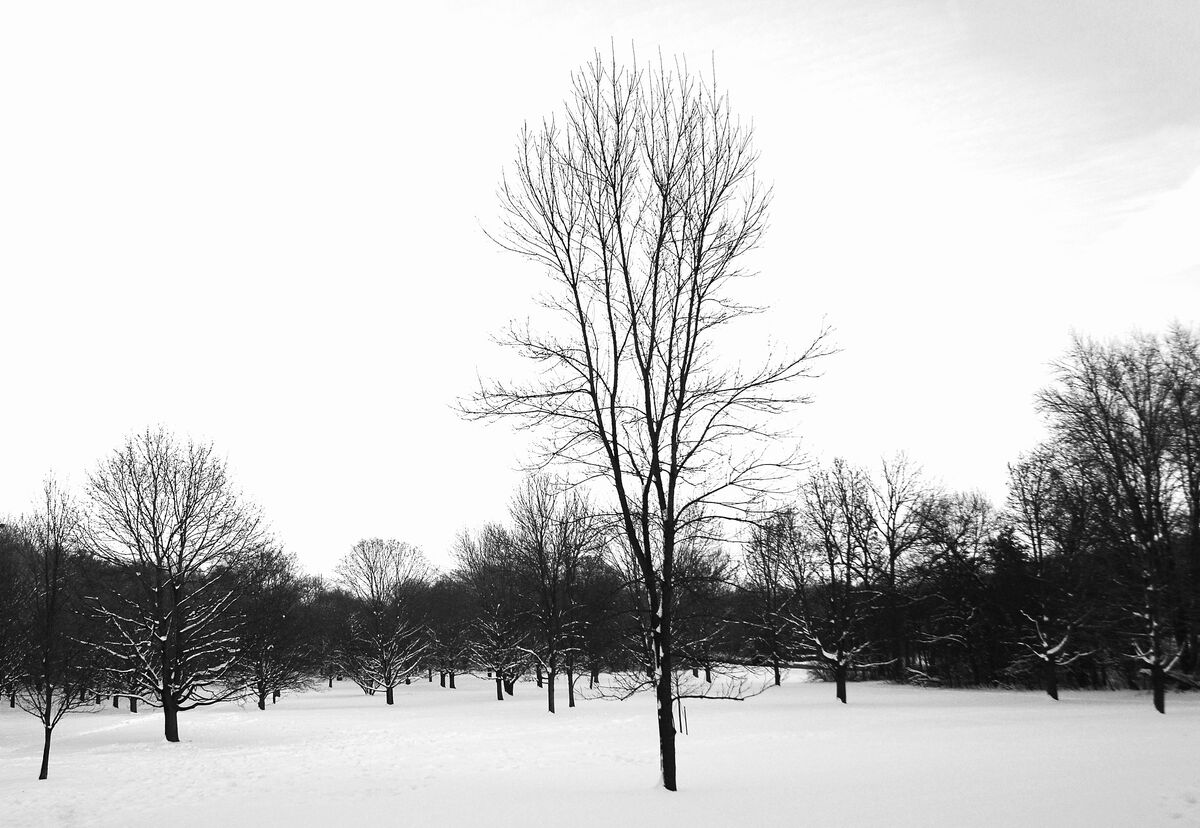 Barren Snow Scene: I was up in Milwaukee a couple of months ago to ...