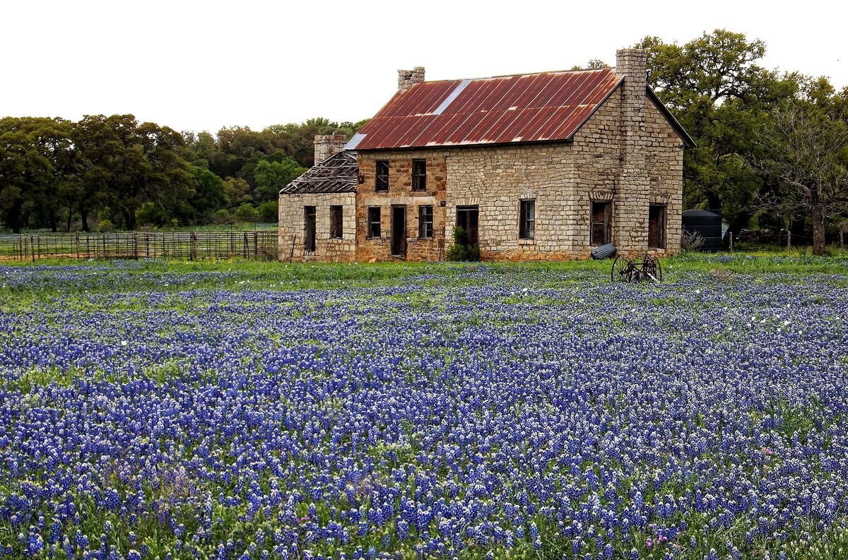 The Bluebonnet House Almost Every Spring Travelling South Along Us