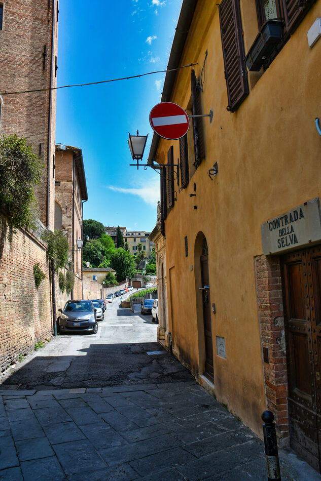 Italy: Siena Part 11 - Museum of the Contrada della Selva in San ...