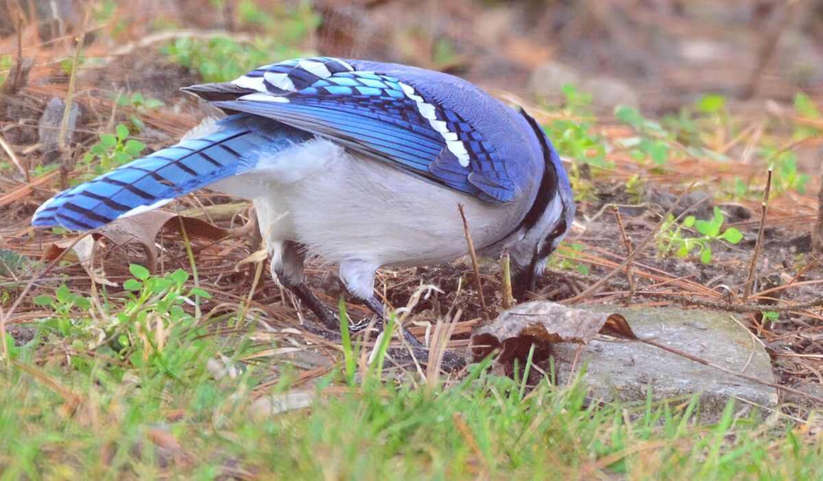 Around the area last week: What are the last two enjoying themselves in ...