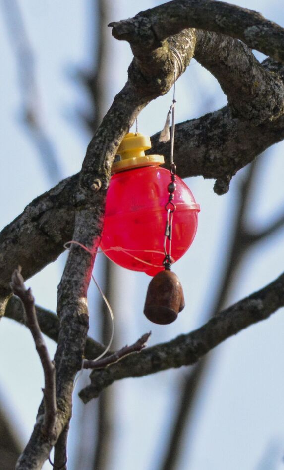 Ahhhhh.... Drat 😒😒😒: Happens to the best of us :sm09: :sm09: :sm09:...