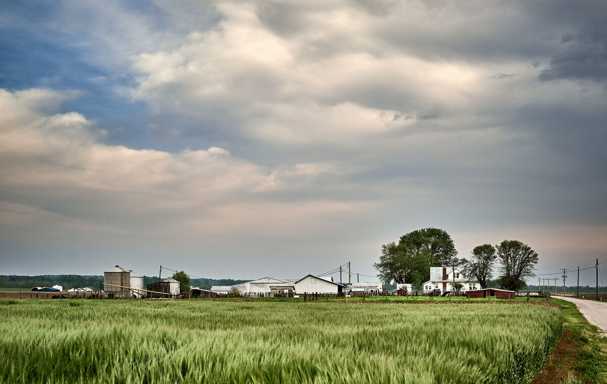 Waving Wheat Behind the Rain: Photos from yesterday morning -- wet and ...