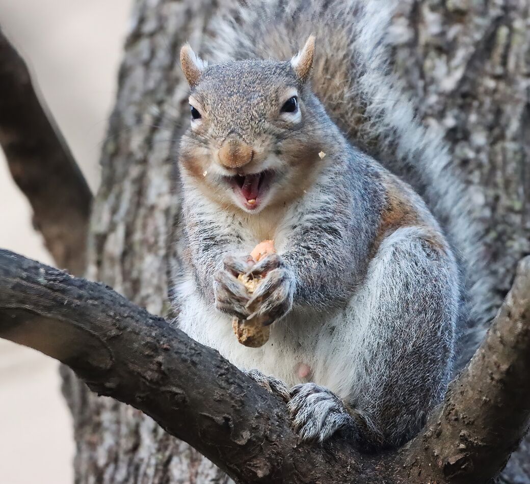 The expression of happiness: Working with my photography has become my happy place, especially ...