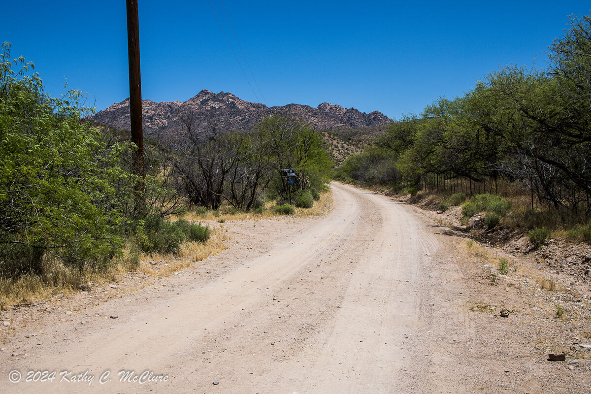 Why do these look different? I took this image Wednesday. My camera ...