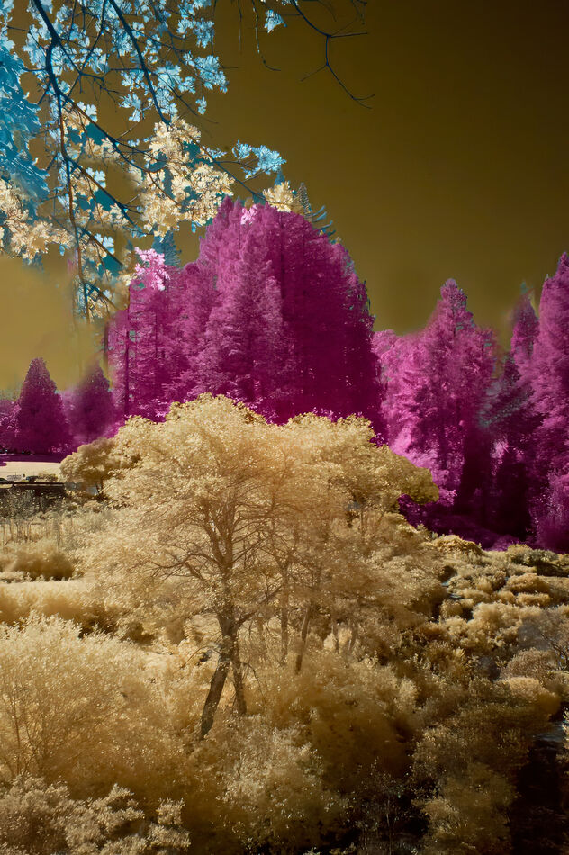 A little IR: I forgot to put this in the IR section. I haven't been ...