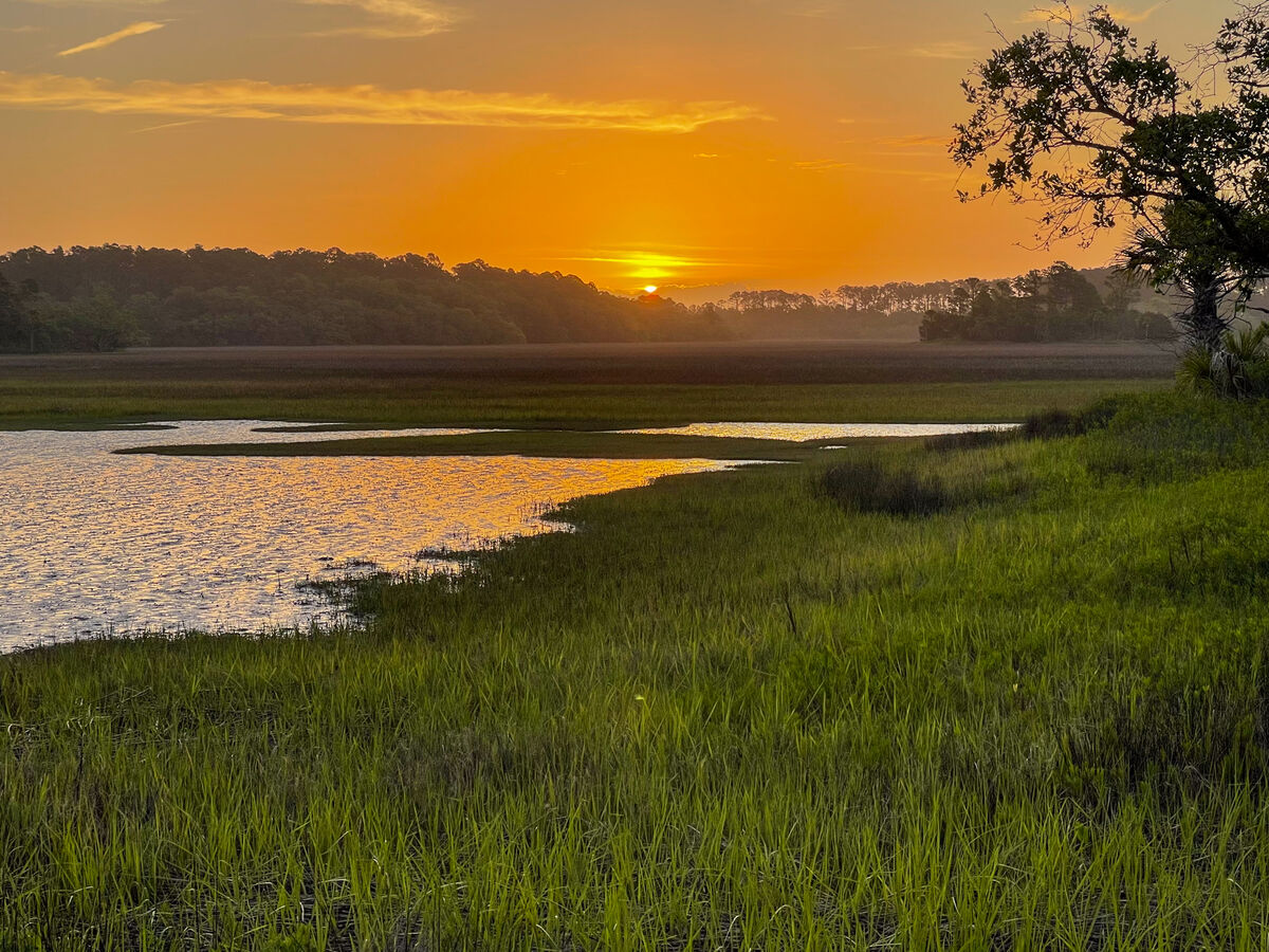 Sunrise on Pinckney Island National Wildlife Refuge (PINWR): The first ...