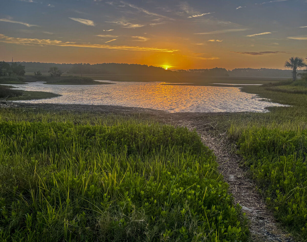 Sunrise on Pinckney Island National Wildlife Refuge (PINWR): The first ...