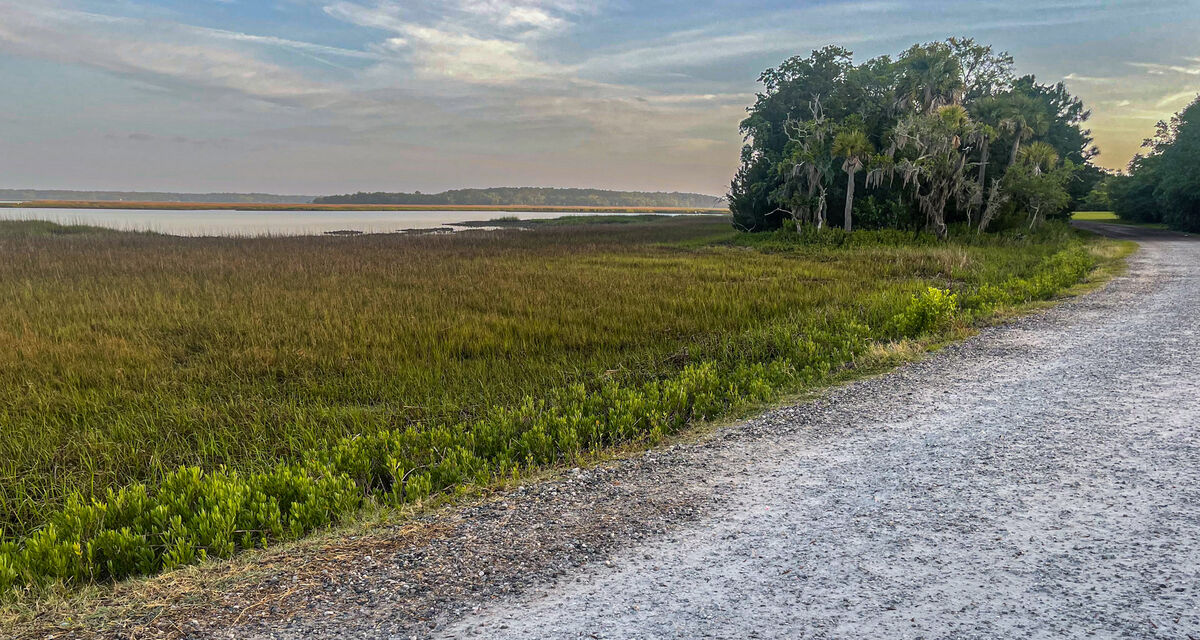 Sunrise on Pinckney Island National Wildlife Refuge (PINWR): The first ...
