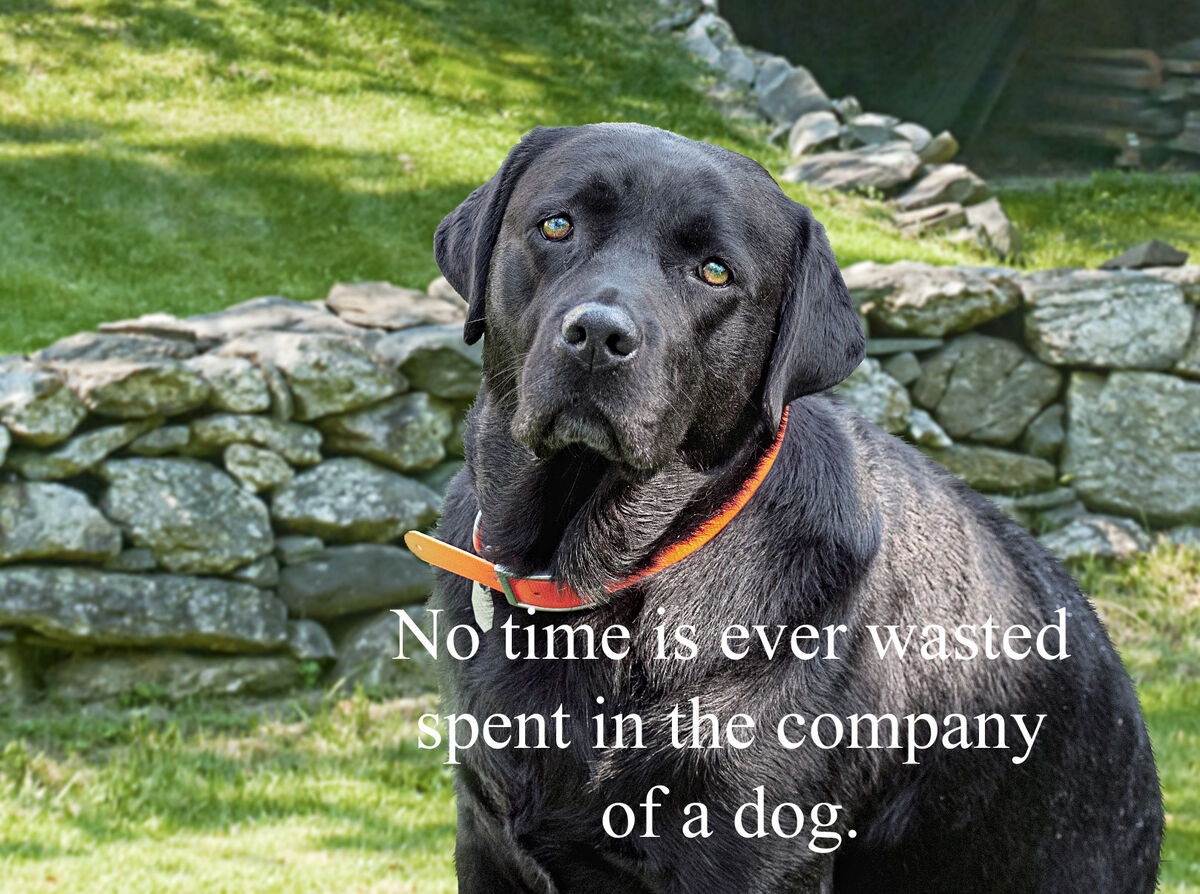 I Don't Know If I Coined This Or Read It Somewhere: Nevertheless, It Is ...