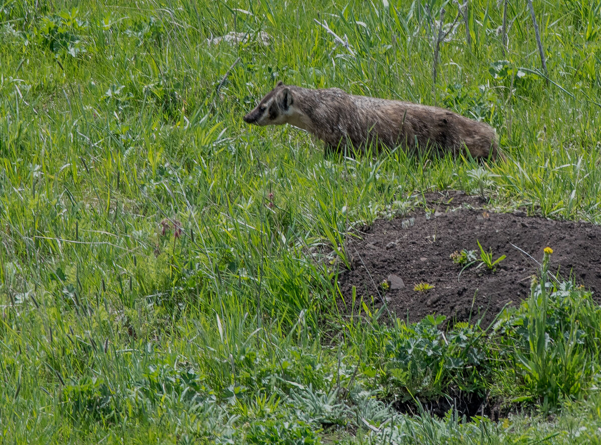 Wallowa Lake trip: A few pics from a recent trip to Wallowa lake and ...