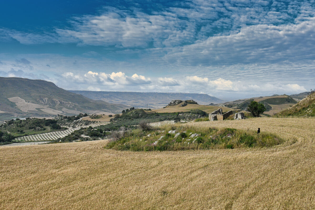 Sicily: Southern Sicilian Landscape Part 11 - Farmland: In the area of ...