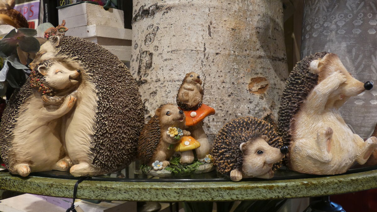 Hedgehogs go mainstream: I came across these adorable characters in a ...