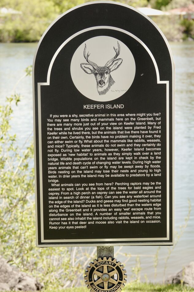 Keefer's Island from 1939: There is a small island on the Snake River ...