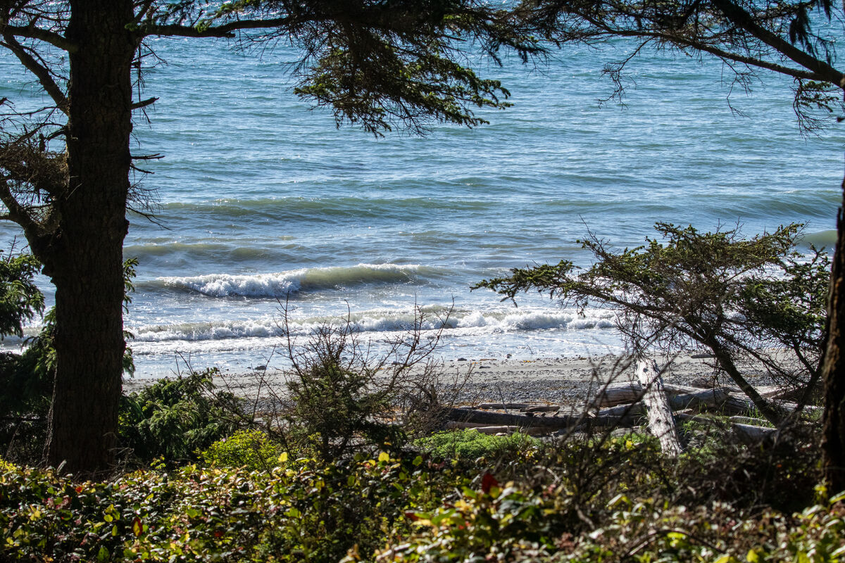 Another afternoon of beach time PNW style: I love that Whidbey Island ...