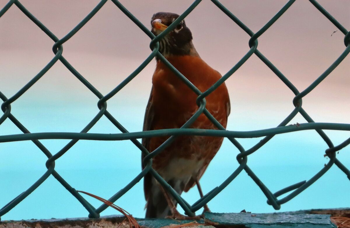 Just checking things out: As I was working with my squirrels, this ...