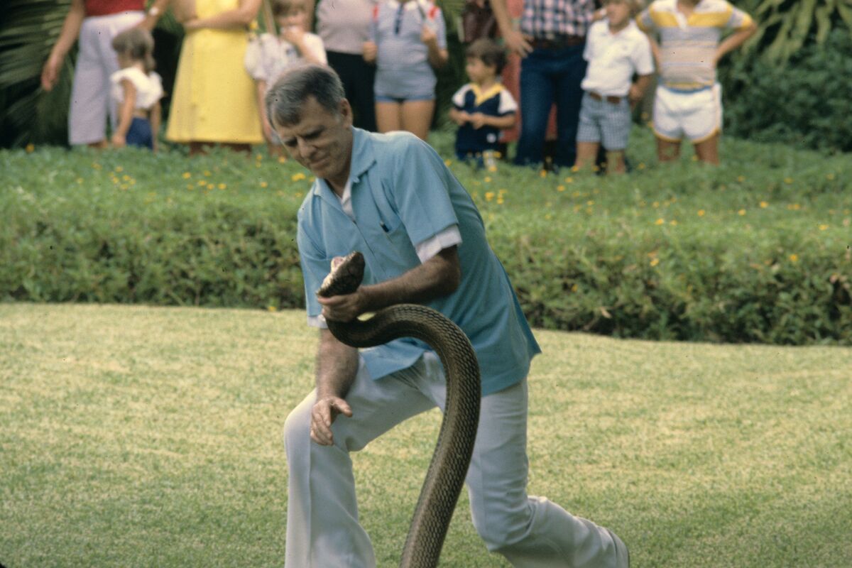 Miami Serpentarium: A must-see attraction opened by Bill Haast in 1947 ...