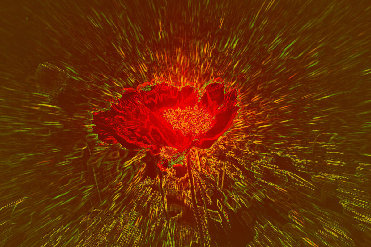 Poppy: A poppy, almost straight, and with a bit of a twirl. And then a ...