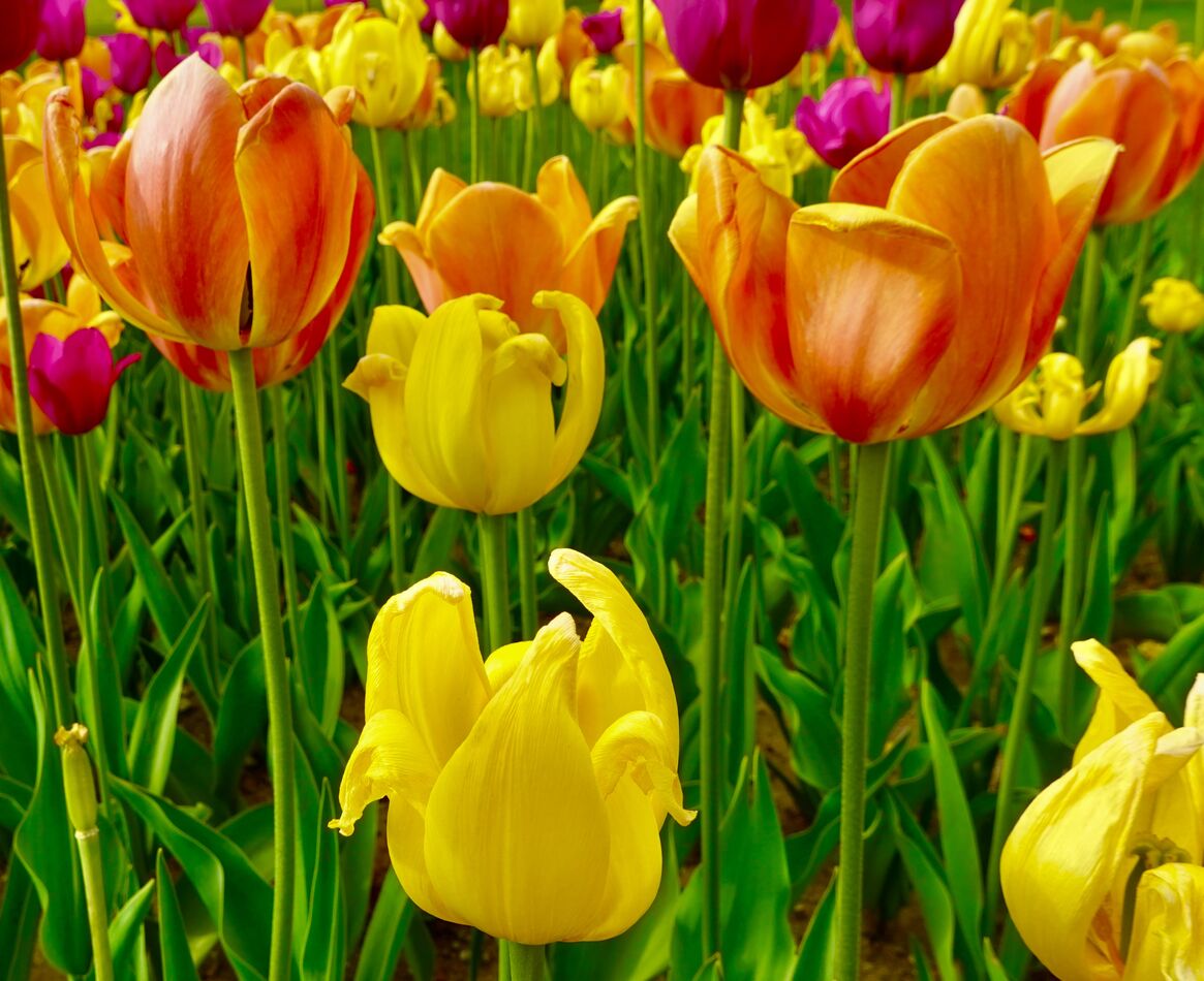 Just having a little.. PP fun.