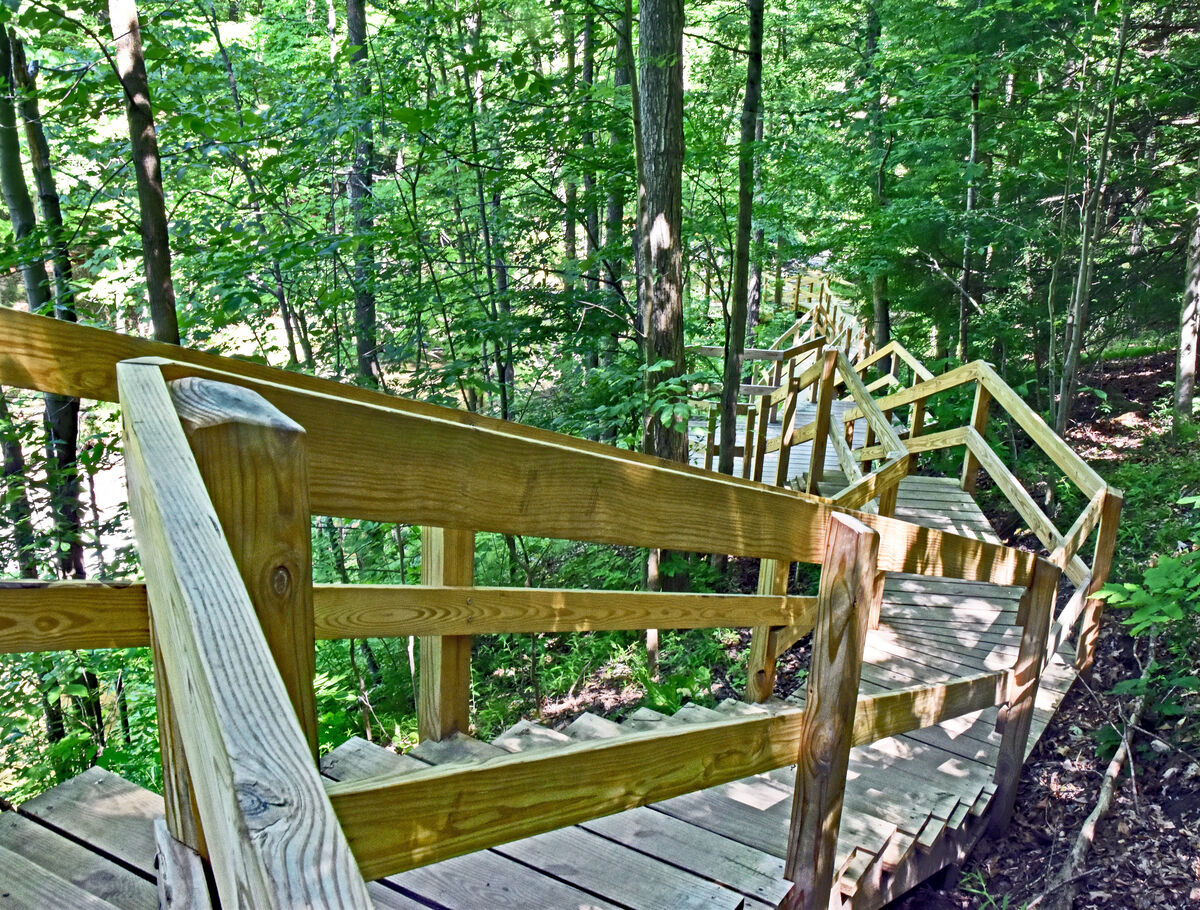 Crooked Paths: Crooked paths are not generally viewed very favorably ...