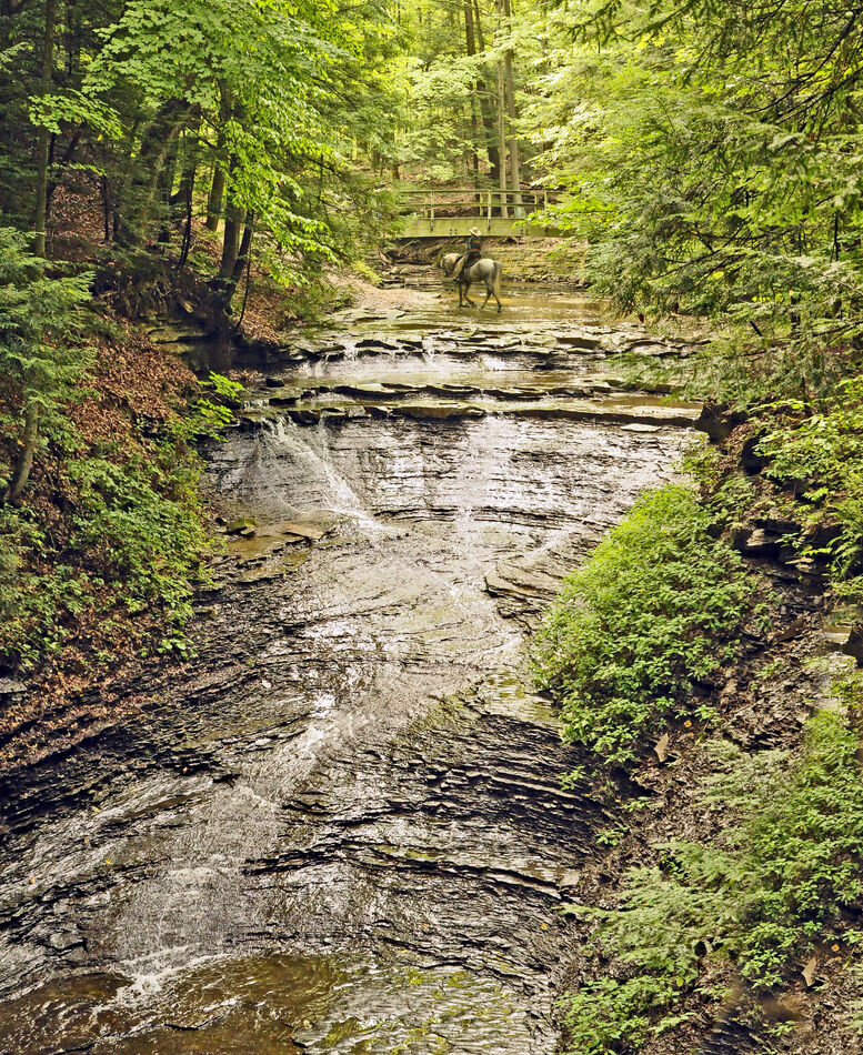 Crooked Paths: Crooked paths are not generally viewed very favorably ...