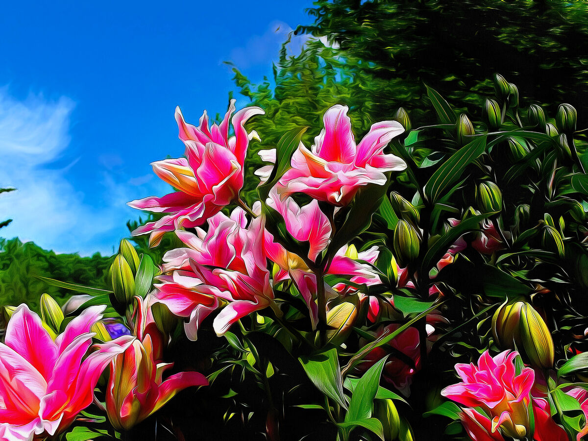 Bloom With A View: This was the second year Annette and I experienced ...