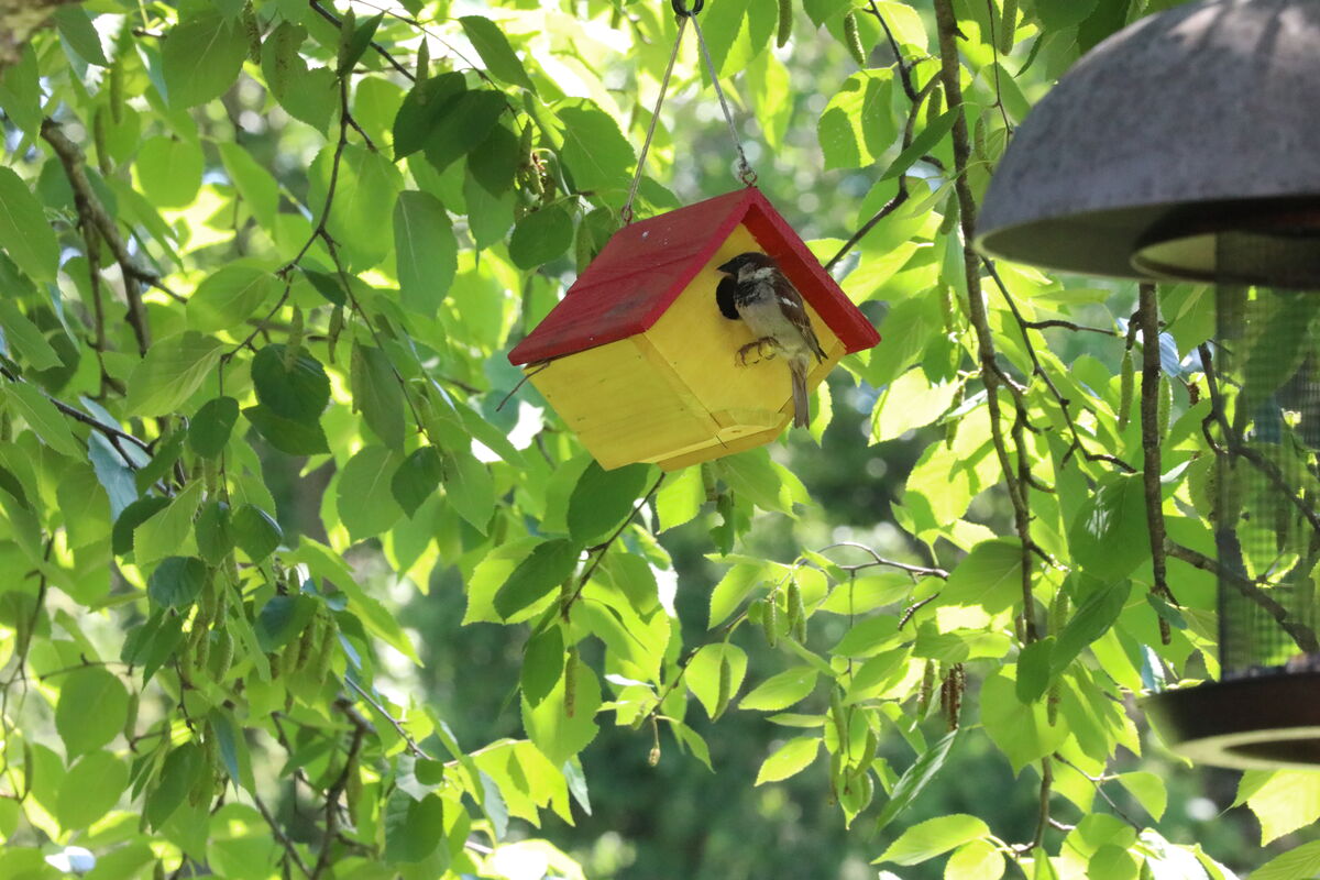 Behave: You kids better behave in there...