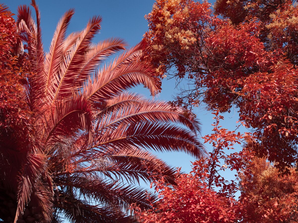 Examples using Rob Shea's Chrome Profile Pack: Rob Shea has a free ...