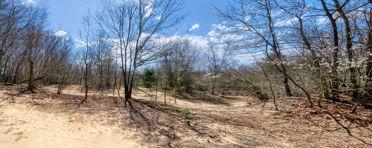 Challenge: "Favorite Landscapes" 6/2-6/8 2024 (Page 12): Arkansas has ...