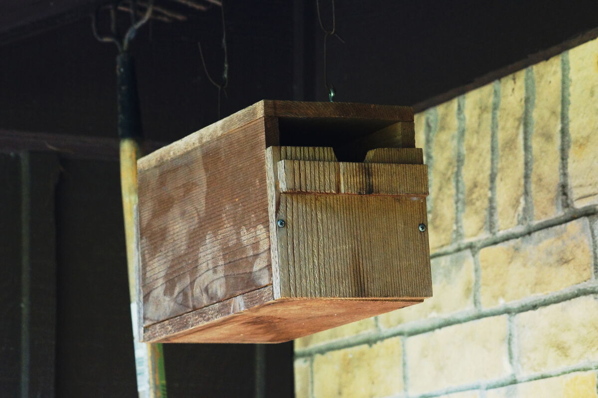 World's worst Bluebird house: I made this house for Wrens and have had ...