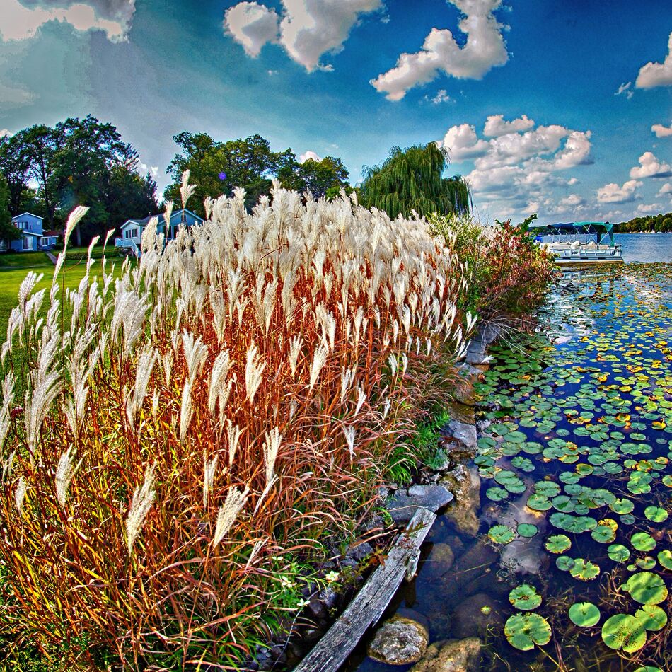 A Favorite Shot: One of my favorites from a while back. Taken with my ...