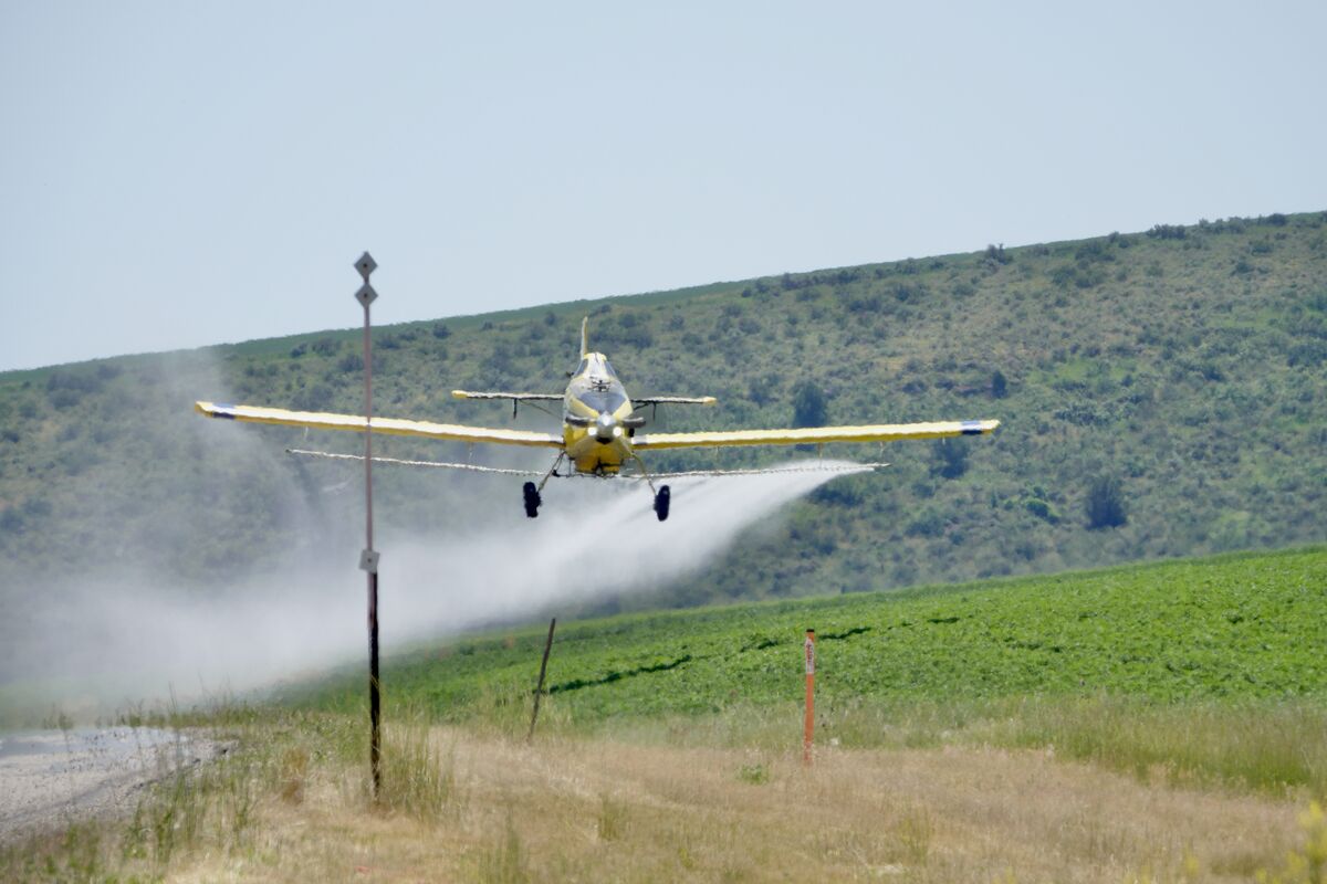 Yes Virginia There Are Cropdusters Still Around: Yesterday brought many surprise and great ...