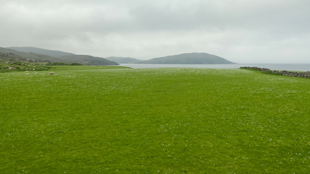 The Green Fields of Wales UK: The Green Fields of Wales UK...