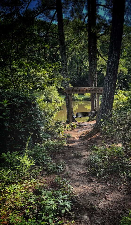 Garden Photography Tip….Incorporate Artificial Objects For A Human Element: I watched a video on ...