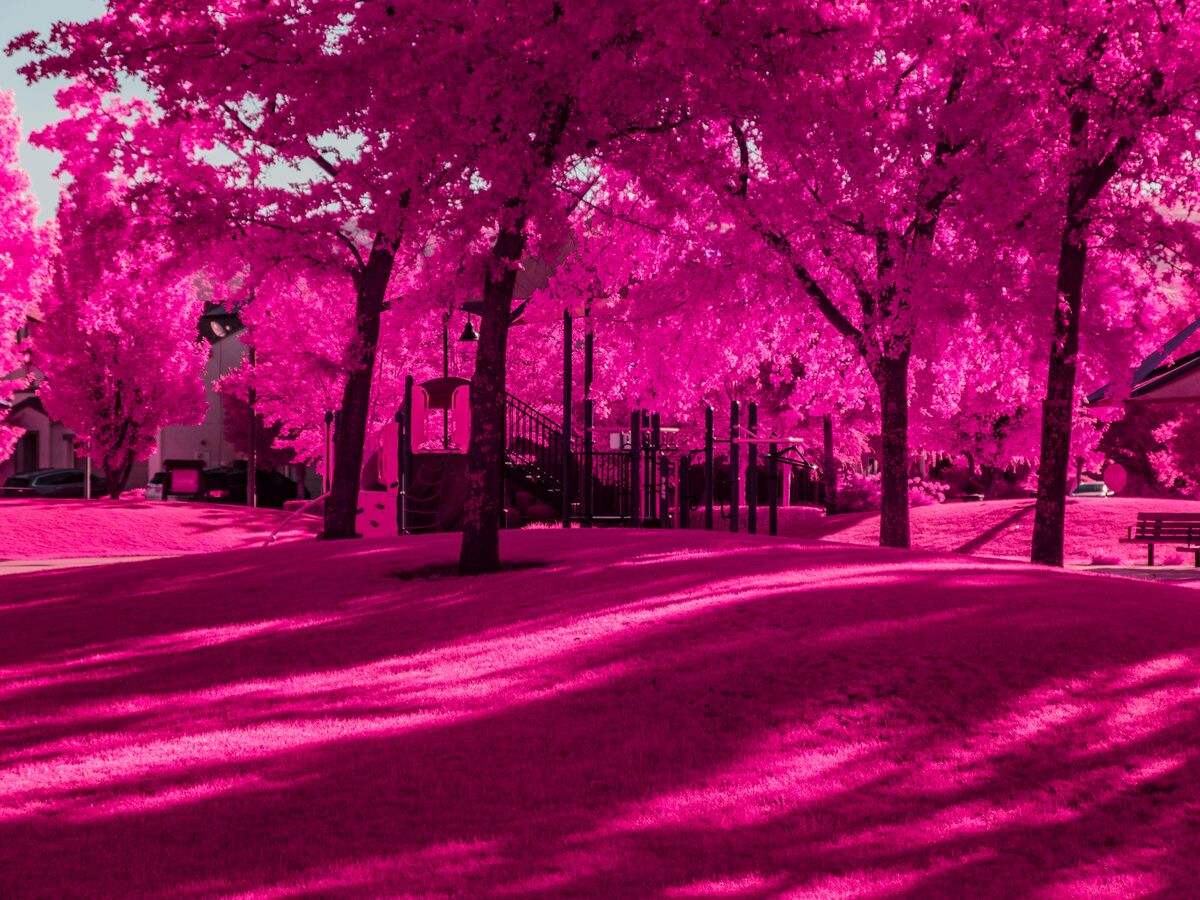 More candy pink using the 3 filter solution: My favorite 3 filter ...