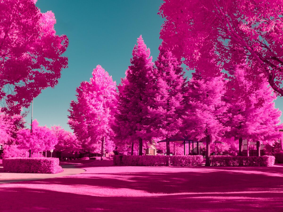 More candy pink using the 3 filter solution: My favorite 3 filter ...