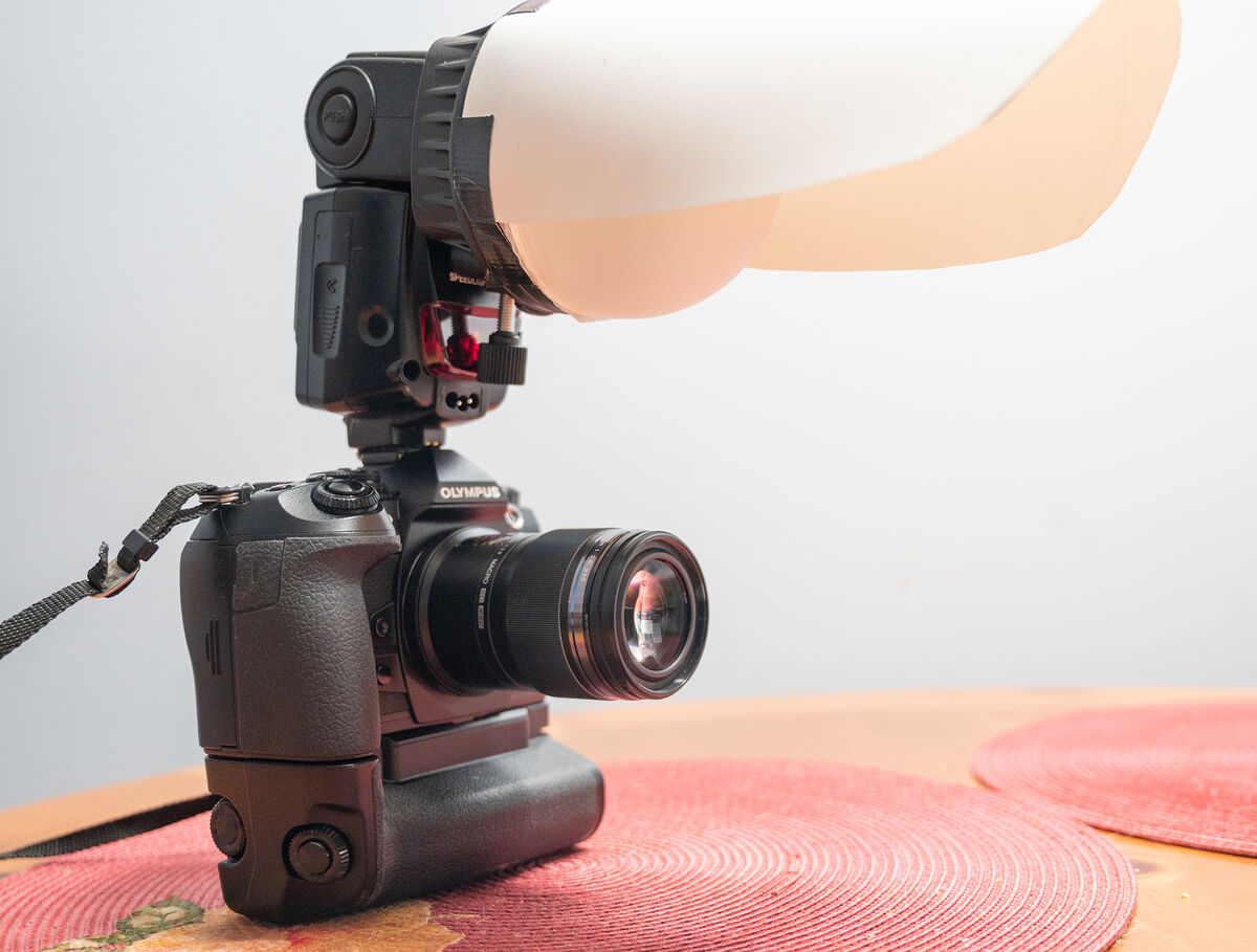 Inexpensive Flash Diffuser for Macro Photography: Macro photography and ...