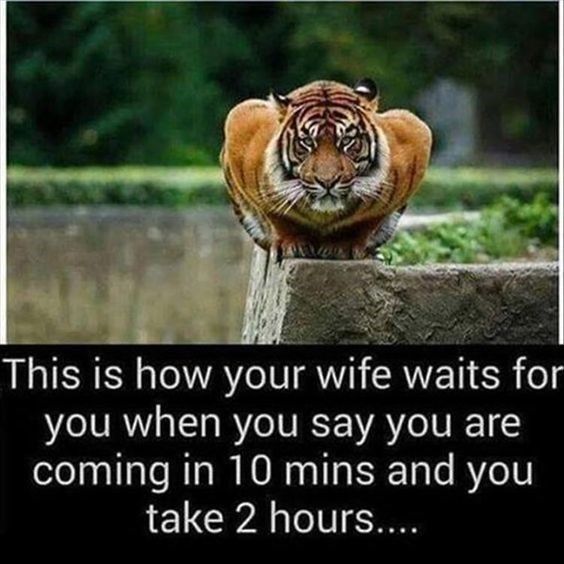 Sunday, Number 3 of 3....Graham: Number 3 of 3 I hope you are all ...