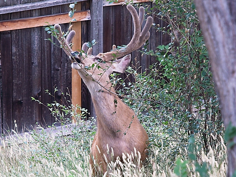 Snack Time: First post with photos so bear with me. Lucky enough to ...