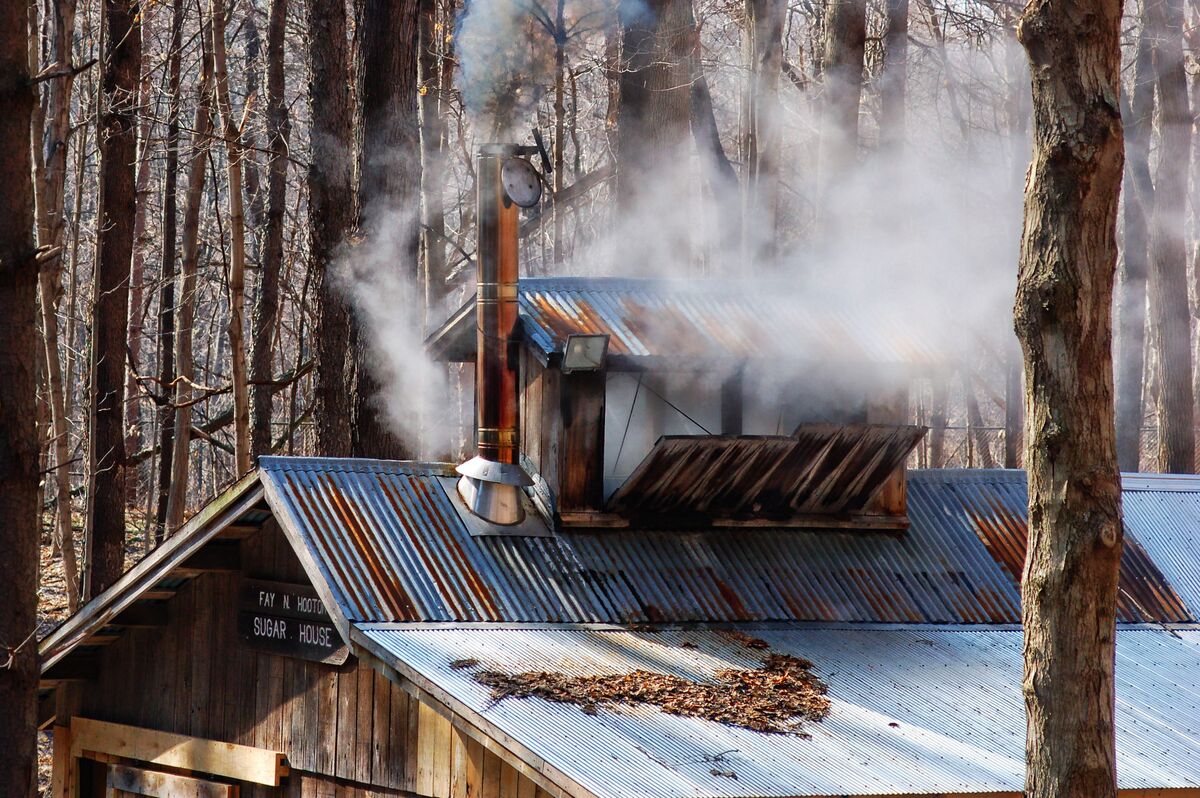 Making Syrup: Came across this interesting looking shed in the middle ...