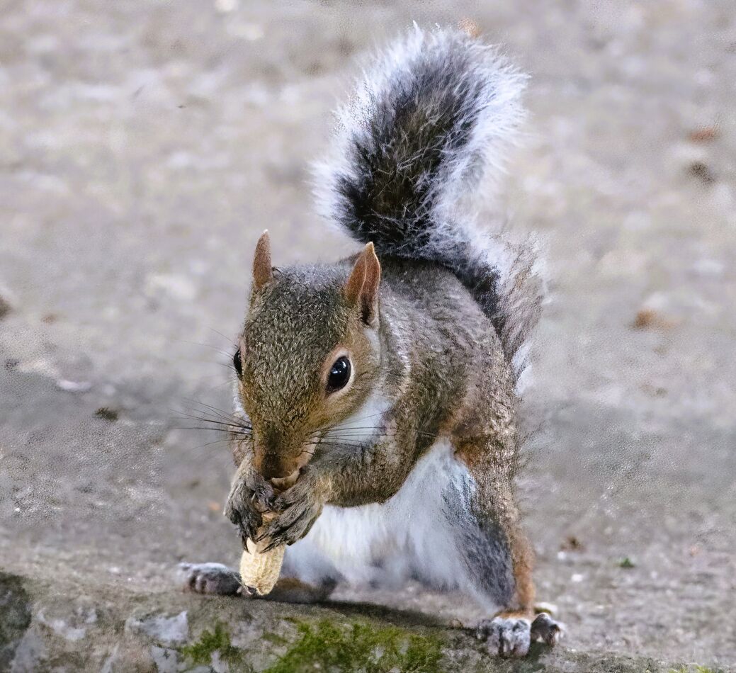 And squat and hold and eat! Exercise is critically important for a quality life. This holds even ...