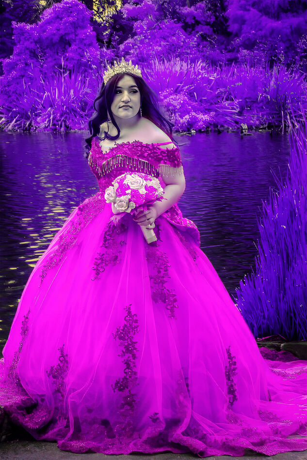 Quinceañera: I had a brief visit to the Palace of Fine Arts in SF ...