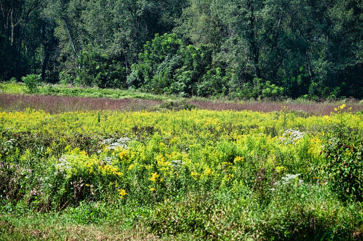 Early Fall Colors: Yep! Taken this Monday in the heat 🔥🔥🔥...