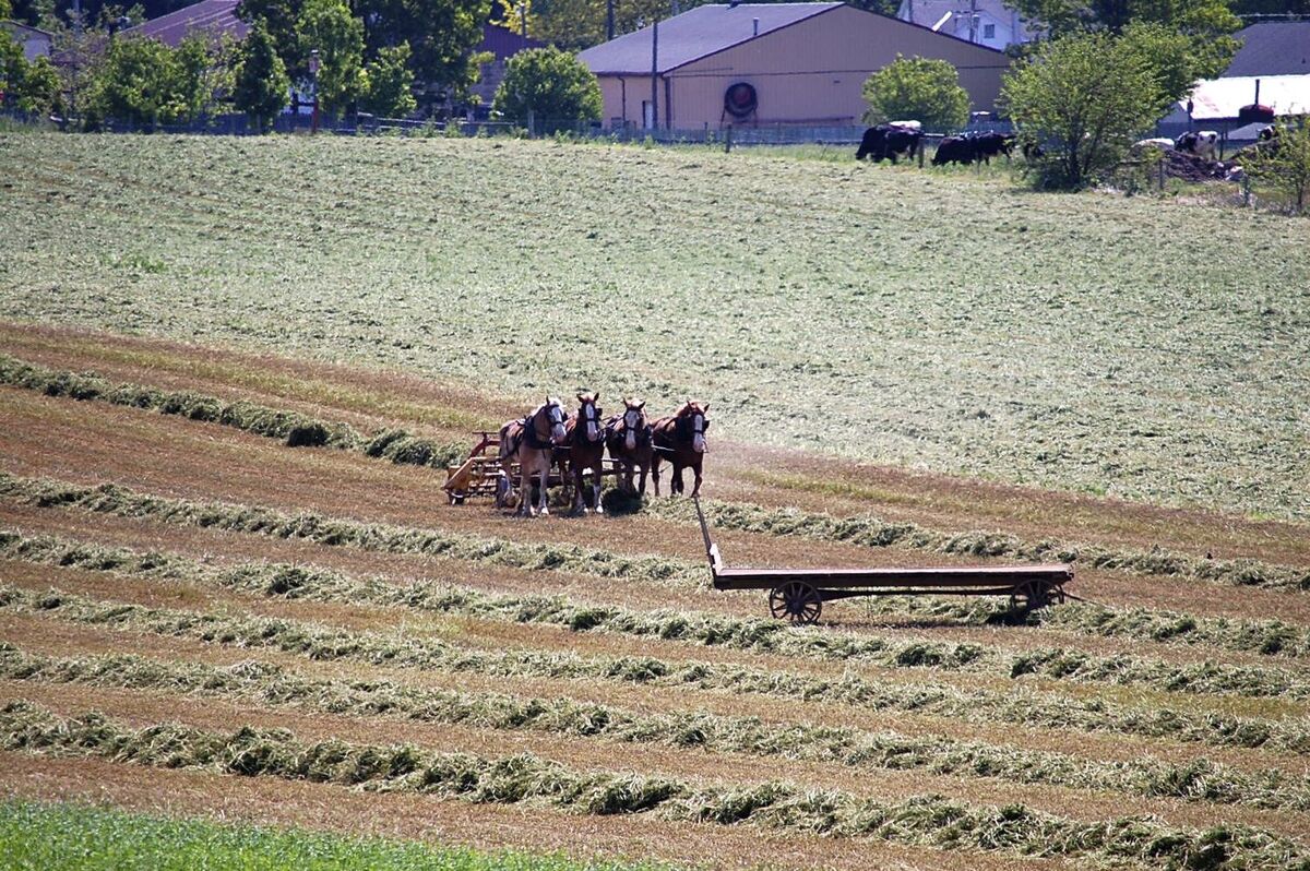 Making Hay in Lancaster,PA: Always go through Pennsyvania Dutch Country ...
