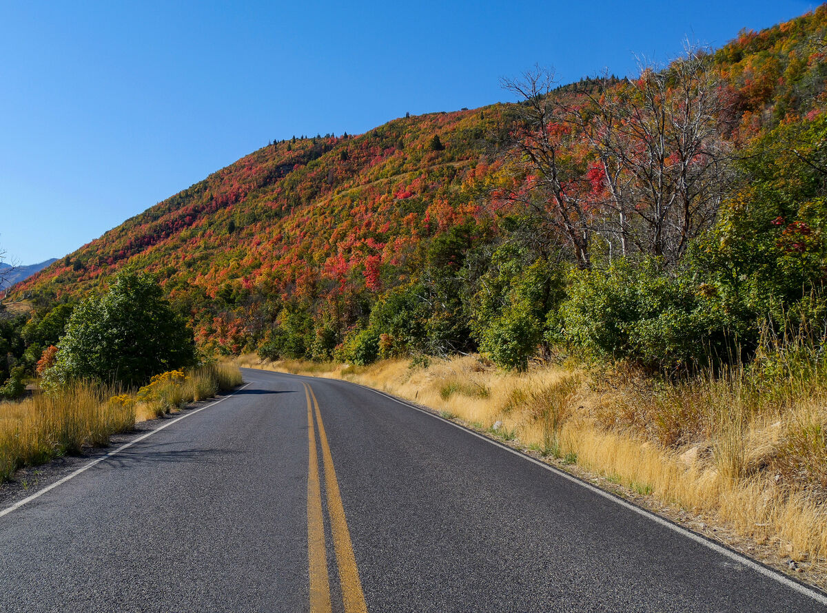Leaf Peeping Mountain Fall Colors: This past Sunday on the first day of ...