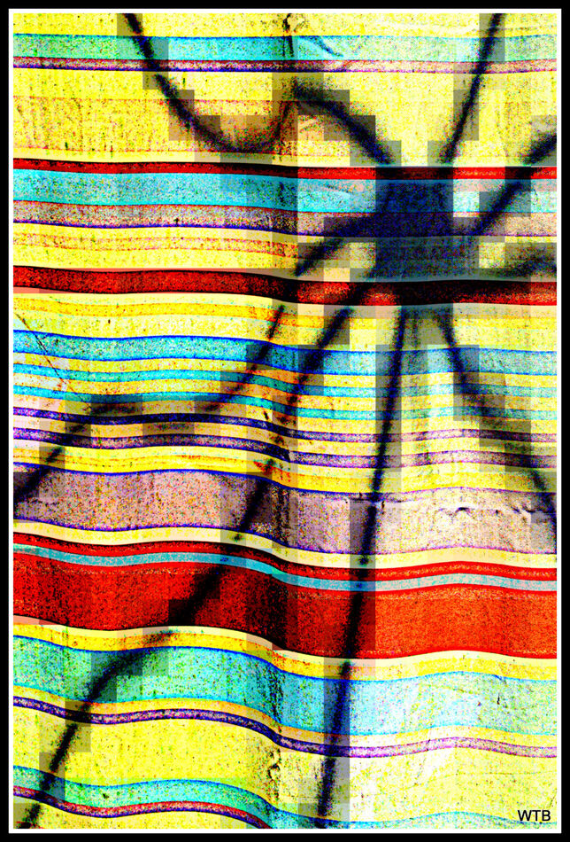 Challenge: Backlit images: We'll start off with some backlit leaves ...