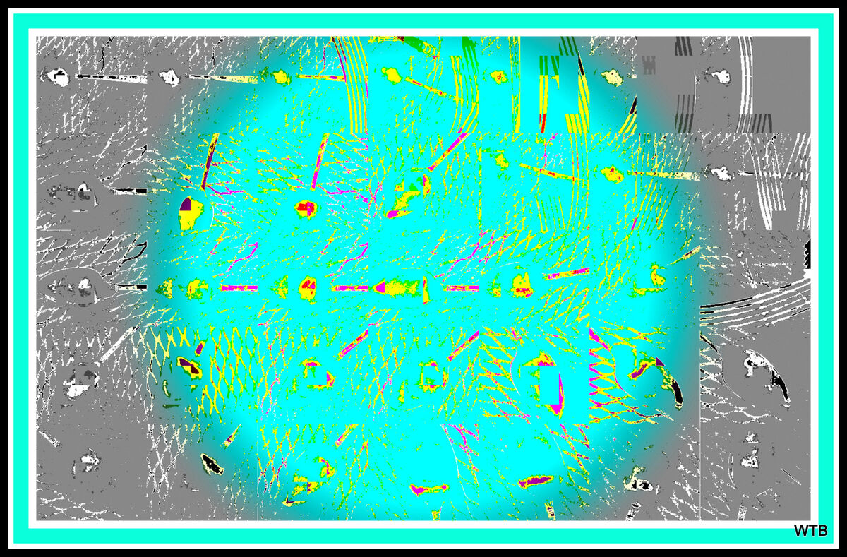 Challenge: Backlit images: We'll start off with some backlit leaves ...