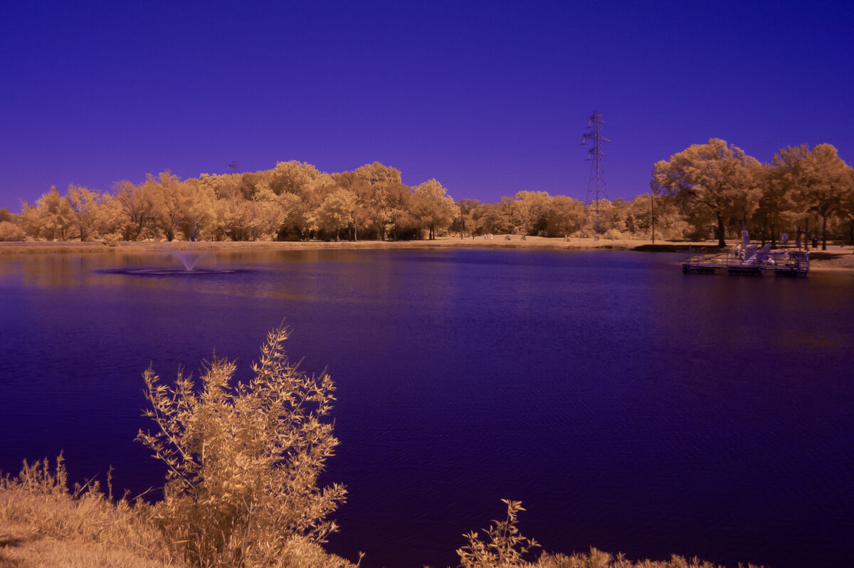 Bailey Lake Area in IR: While out yesterday I took along an IR ...